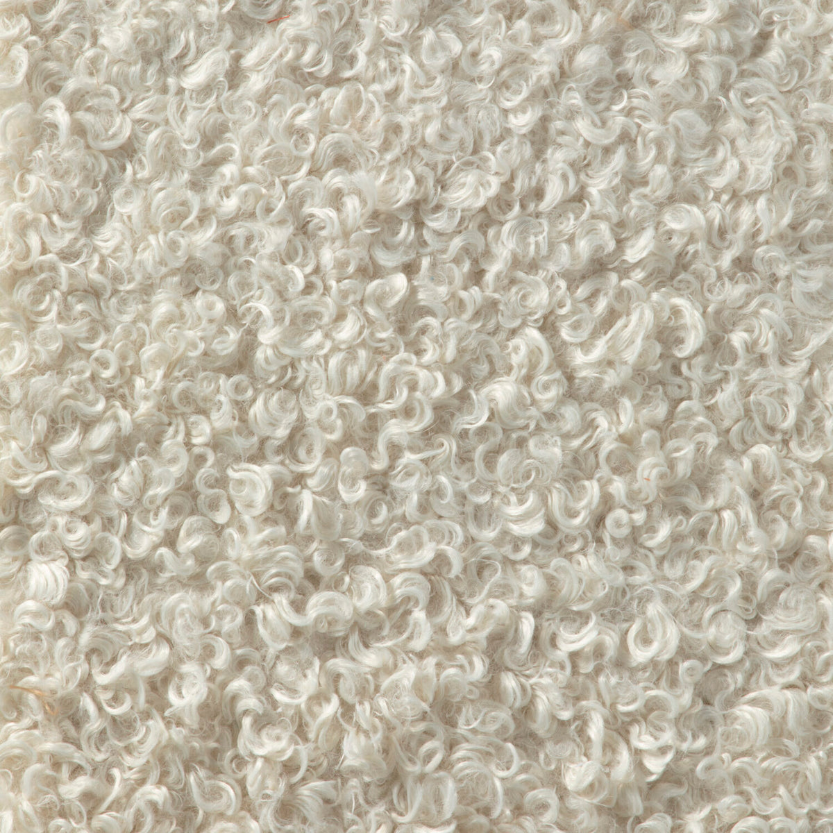 Gabby CURLY IVORY Fabric By The Yard — Fabrics and Drapes